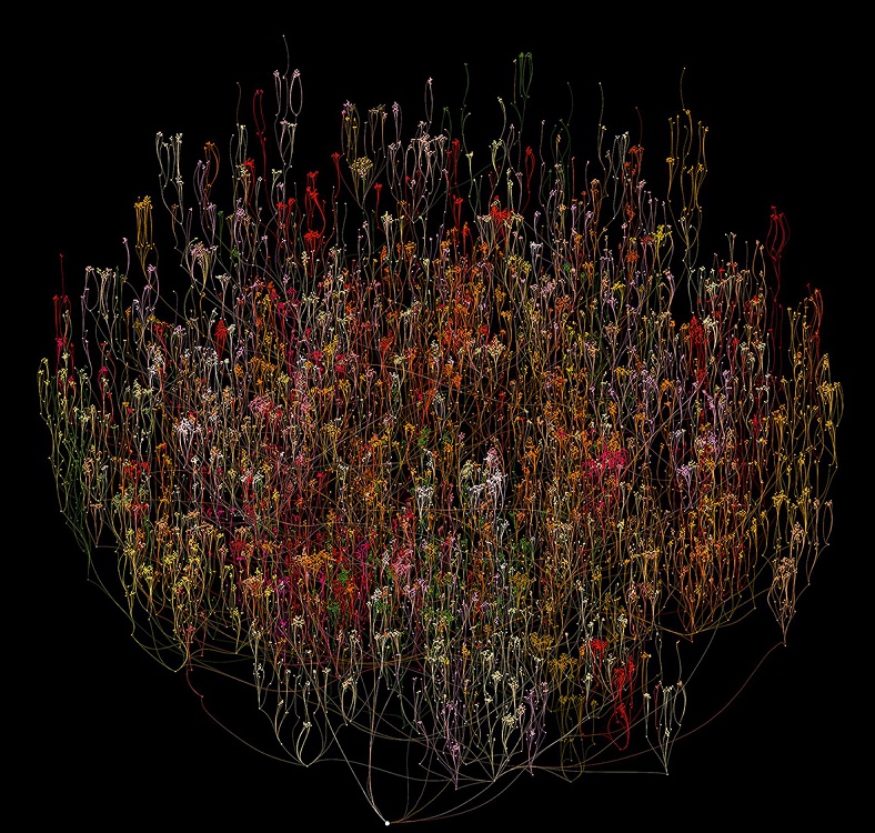 20个超美的数据可视化案例，你见过几个